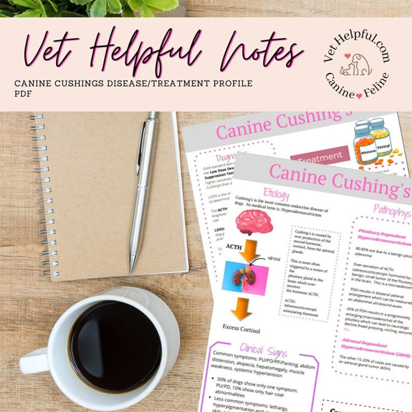 Vet Endocrine study guide, Canine Cushing's, Vet tech notes, Cushing's ...