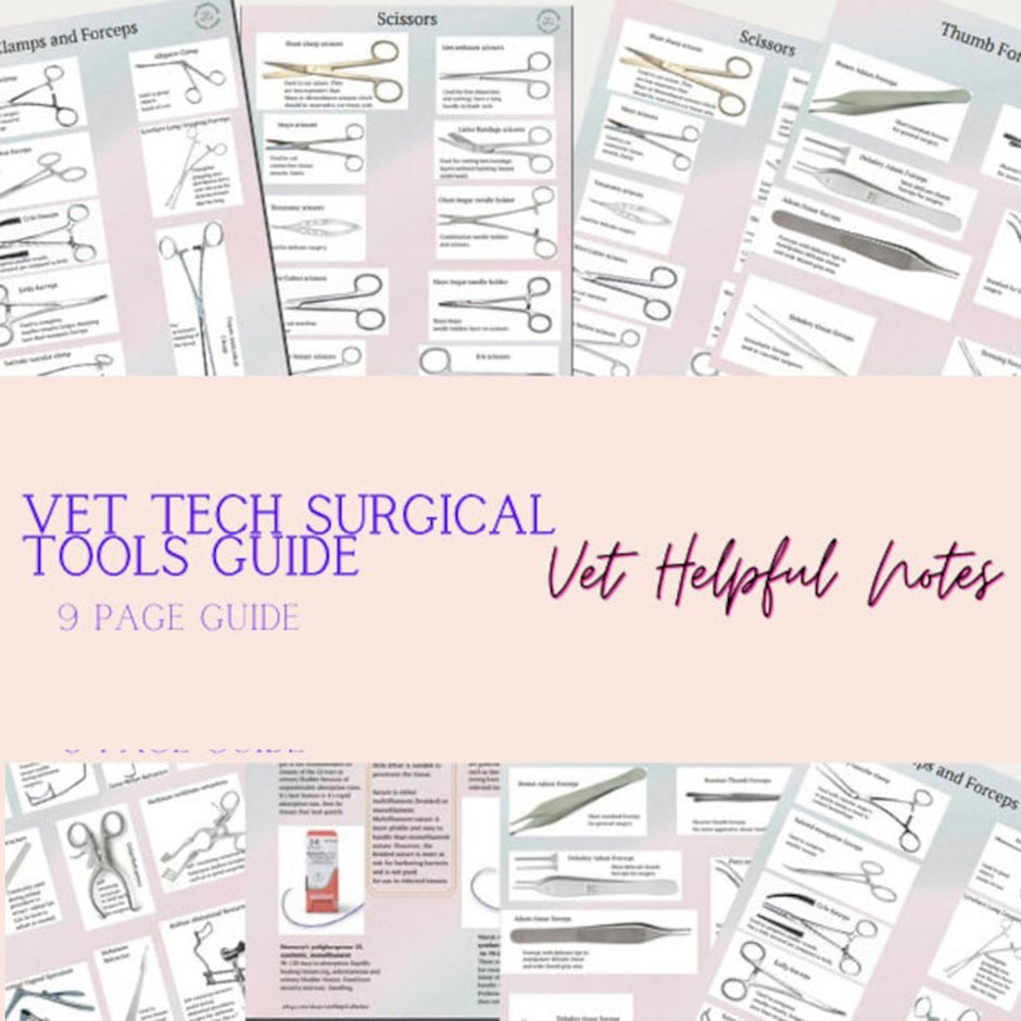 VetHelpful Notes – Vet.Helpful.Notes