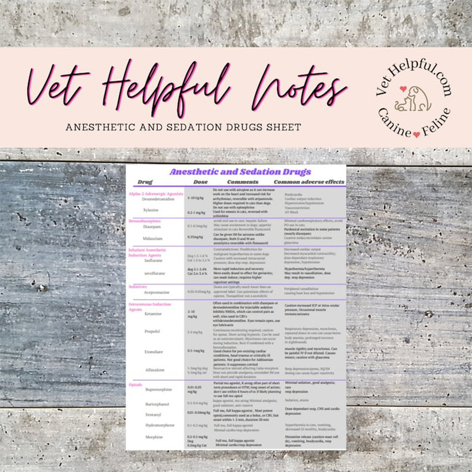 VetHelpful Notes – Vet.Helpful.Notes
