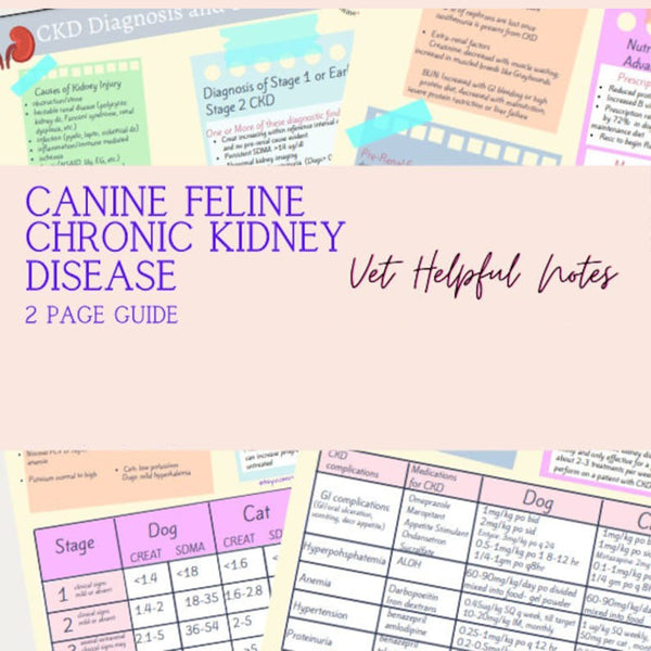 Canine/Feline Chronic Kidney Disease Guide – Vet.Helpful.Notes