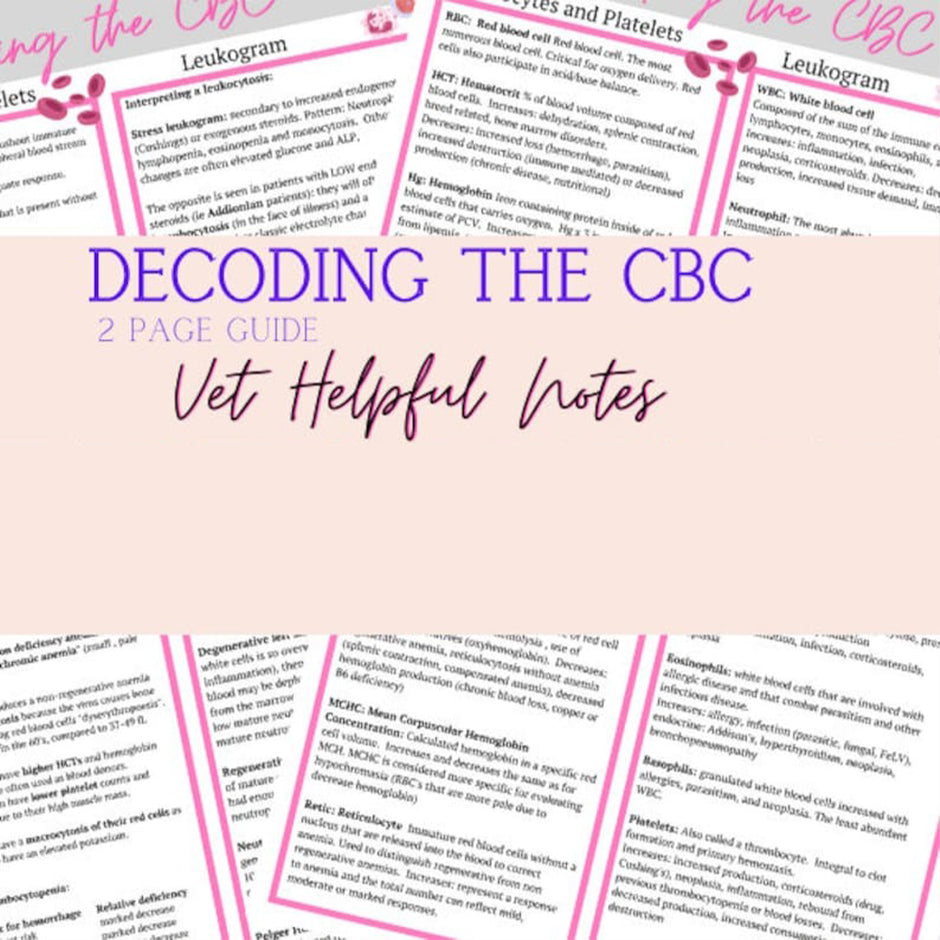 Digital Products – Vet.Helpful.Notes