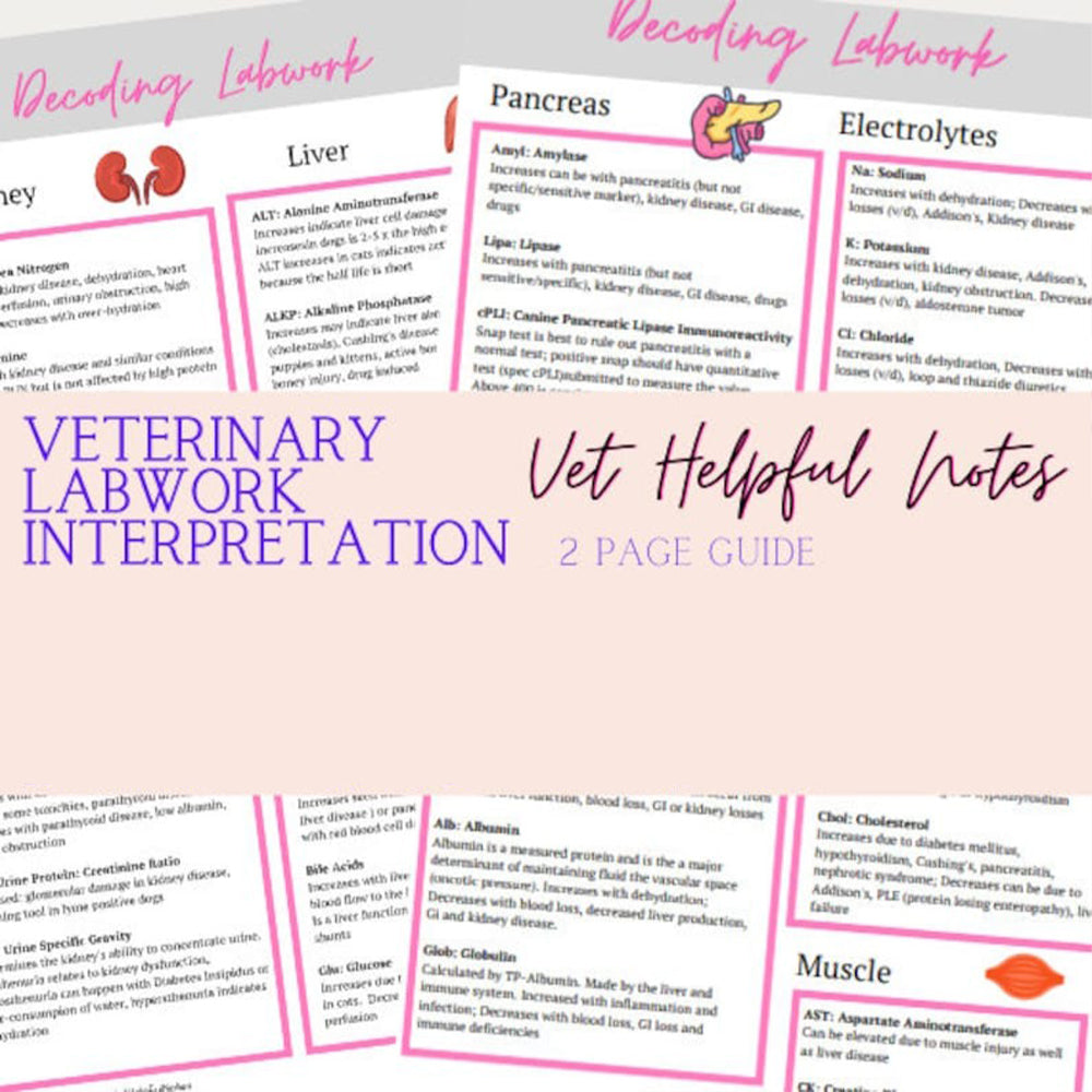 Digital Products – Vet.Helpful.Notes