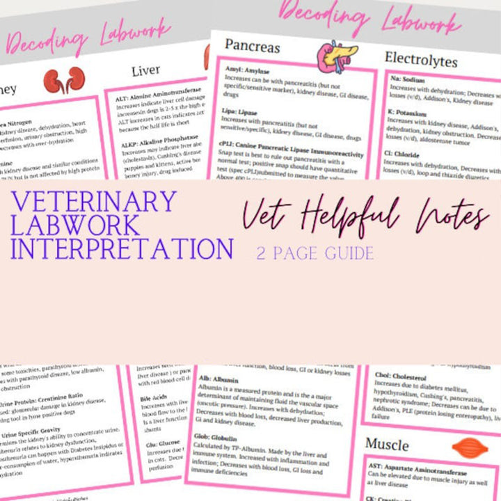 Digital Products – Vet Helpful Notes