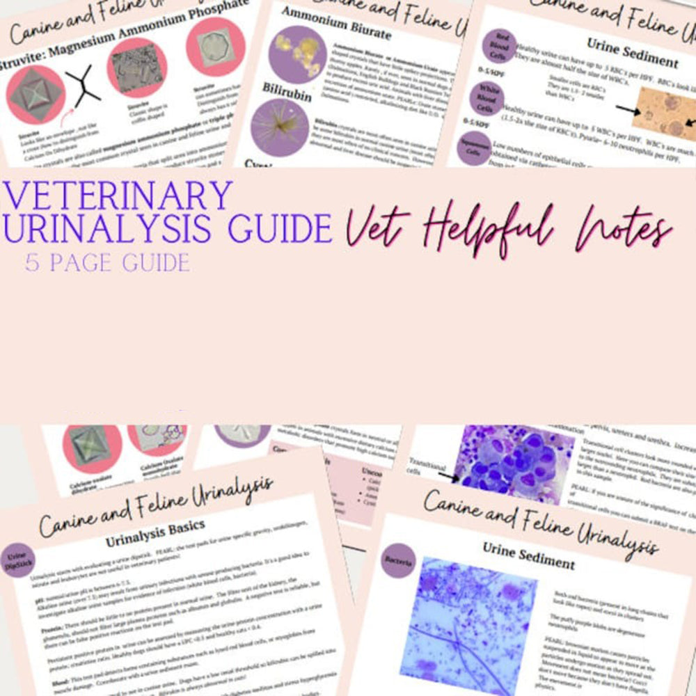 Veterinary Urinalysis Guide – Vet.Helpful.Notes