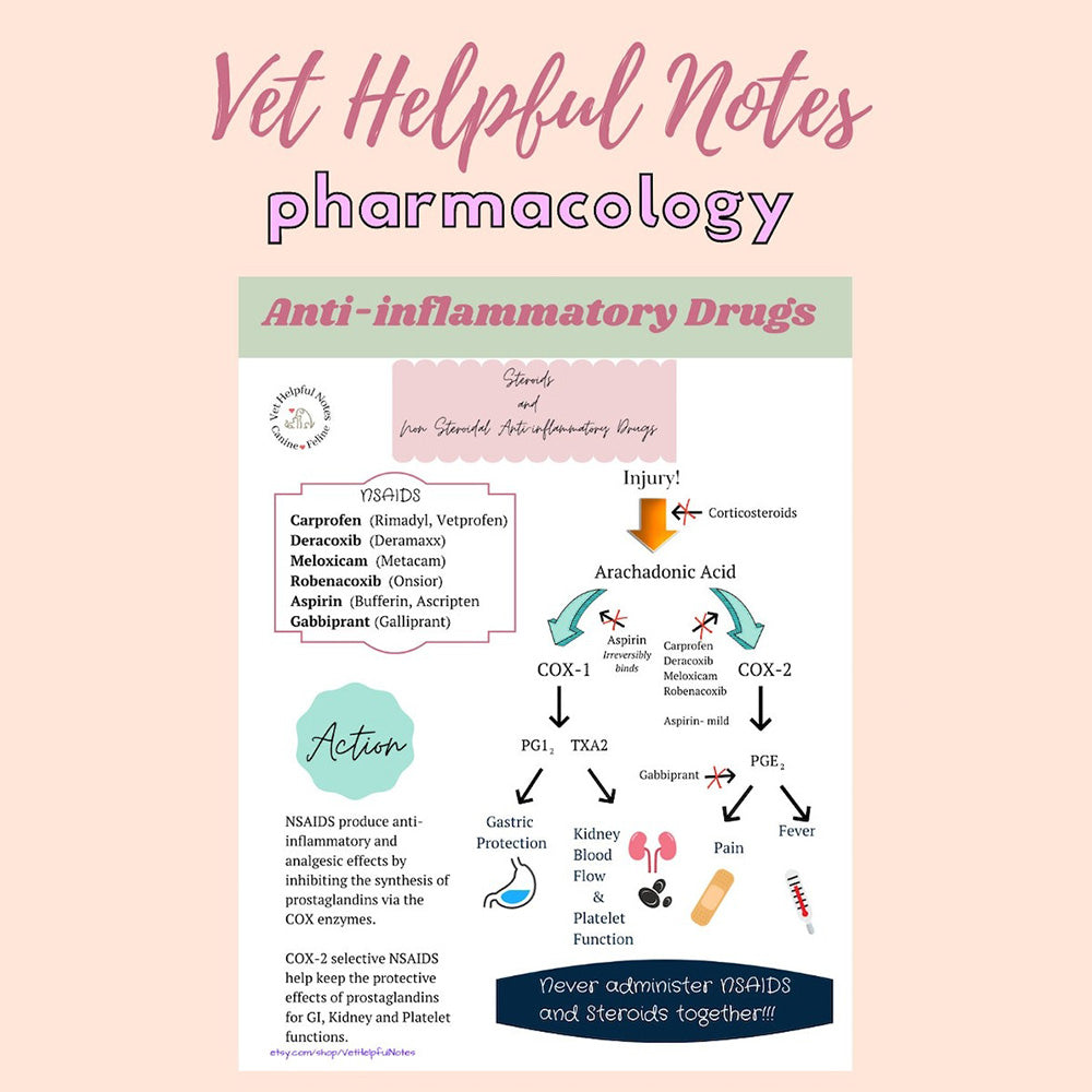 Products – Page 2 – Vet Helpful Notes