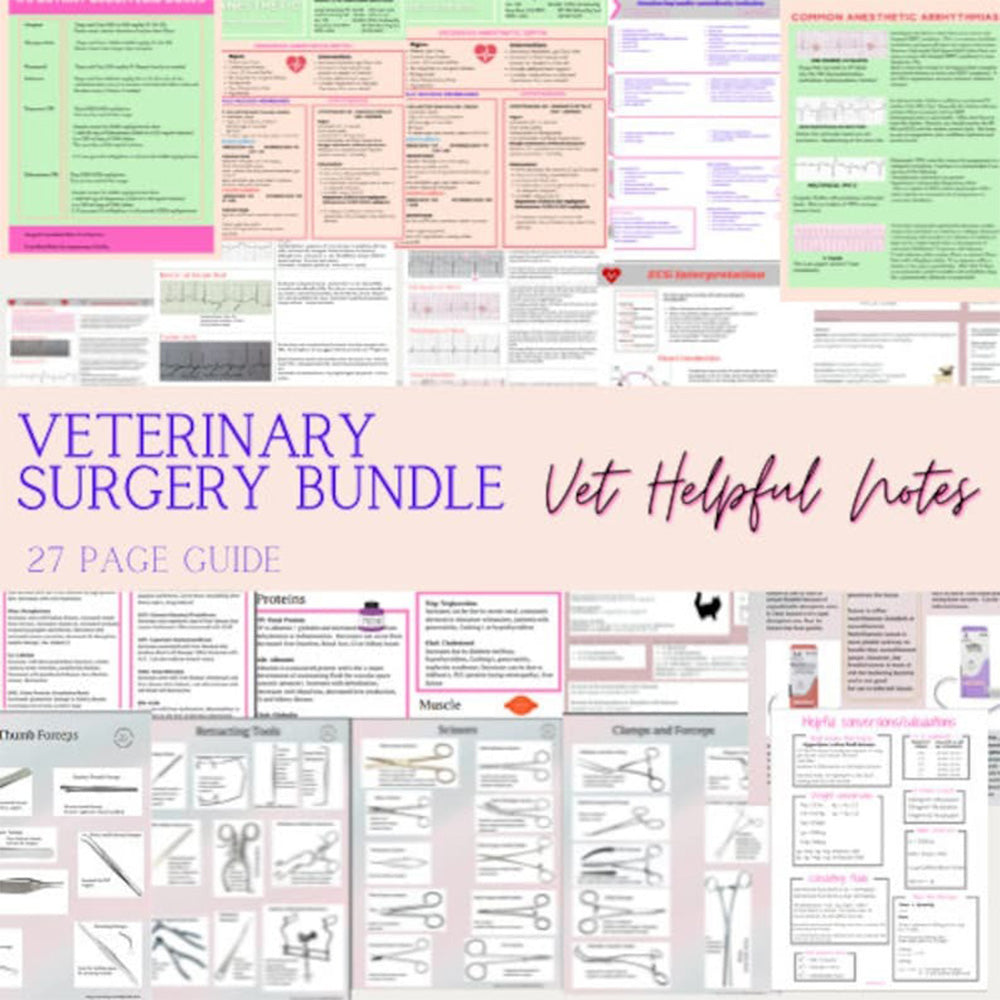 VetHelpful Notes – Vet.Helpful.Notes