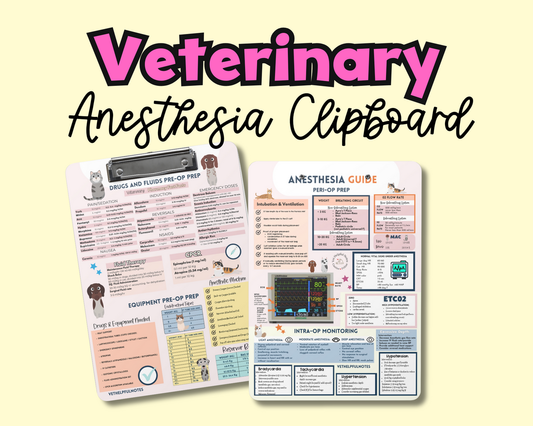VetHelpful Notes – Vet.Helpful.Notes