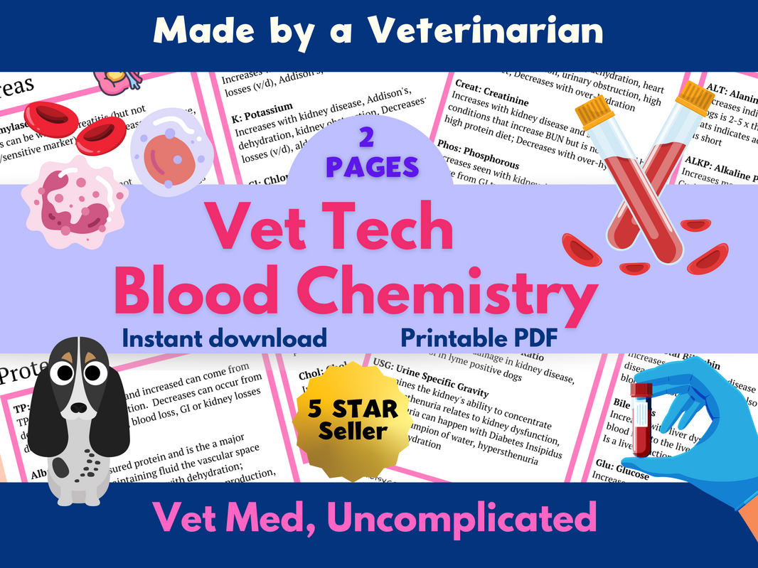 Digital Products – Vet Helpful Notes
