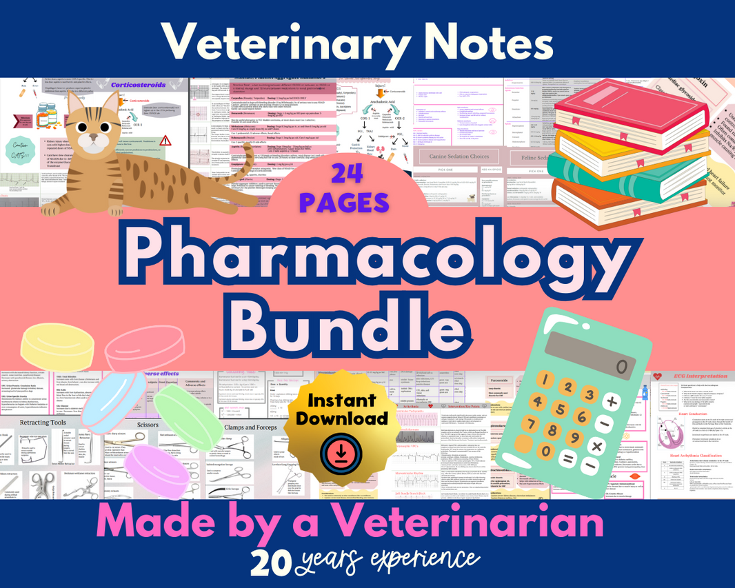 VetHelpful Notes – Vet Helpful Notes