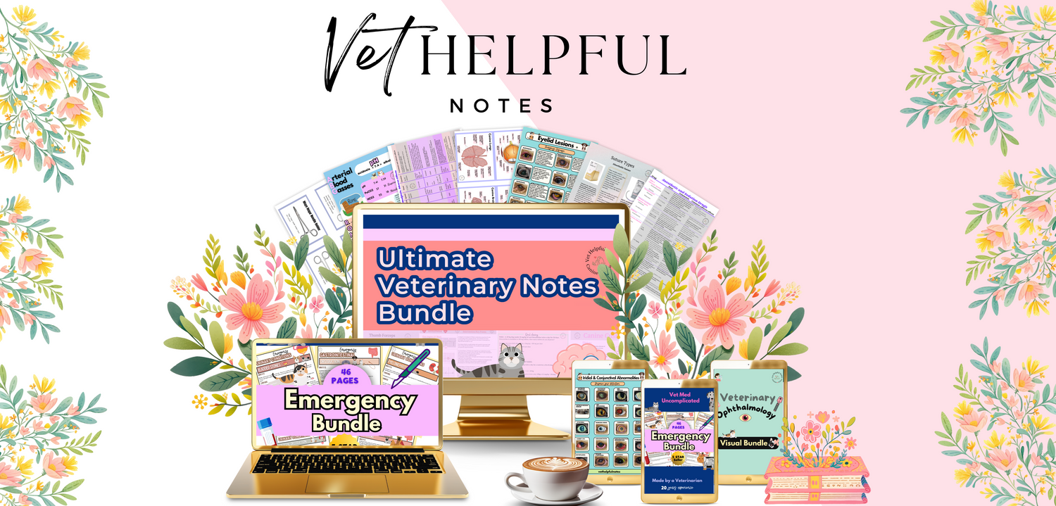 VetHelpful Notes – Vet Helpful Notes