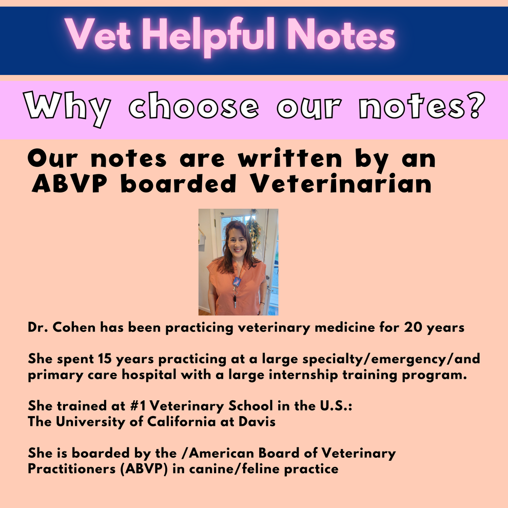 Canine and feline radiology interpretation guide – Vet Helpful Notes