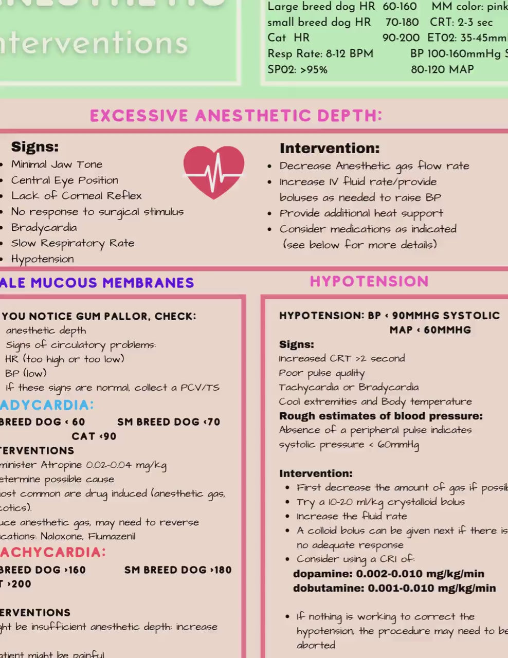 Digital Products – Vet.Helpful.Notes